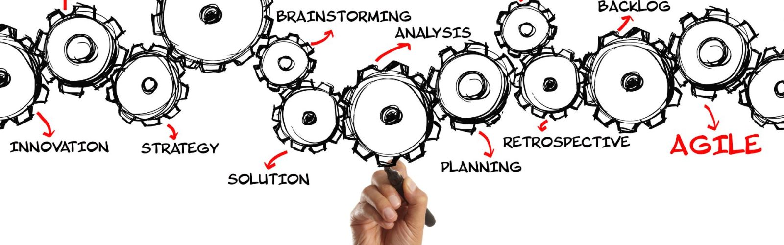 Embrace Agility: Understanding The Basics Of Agile Methodology ...